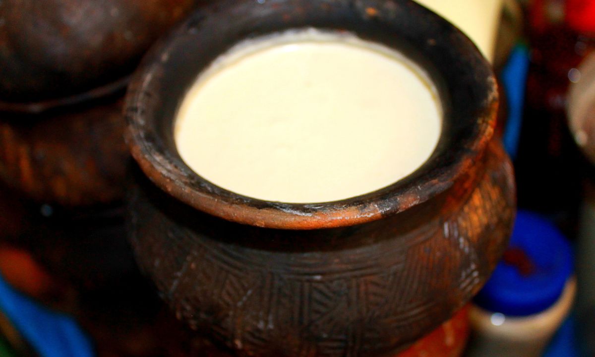 Benefits Of Curd And Sugar: 5 Things To Know Before Having Curd And ...