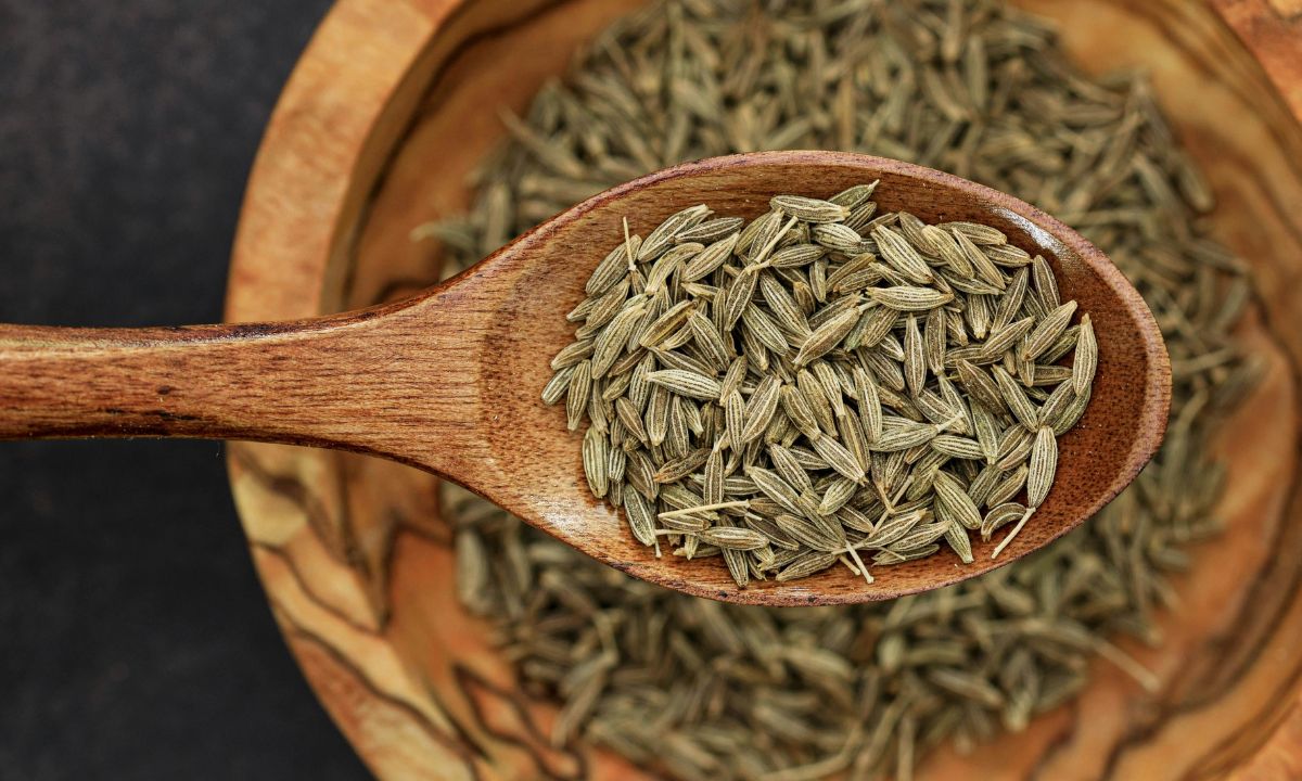 Fennel Water Benefits: 10 Reasons Why Drinking Fennel Water In The ...