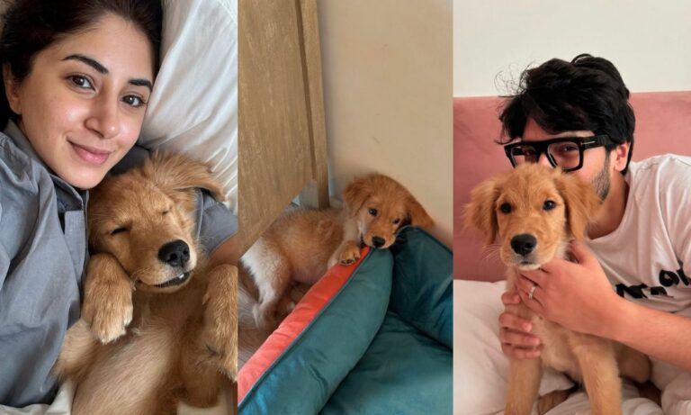 Aashna Shroff, Armaan Malik Become Pawrents; Meet Their Cutest Son AKA ...