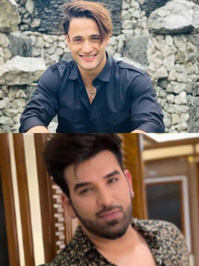 8 HAWT Bigg Boss Contestants Who Are Total Red Flags